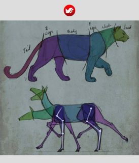 نقاشی حیوانات + عکس | تکنیک های تصویر سازی حیوانات | پویااندیش